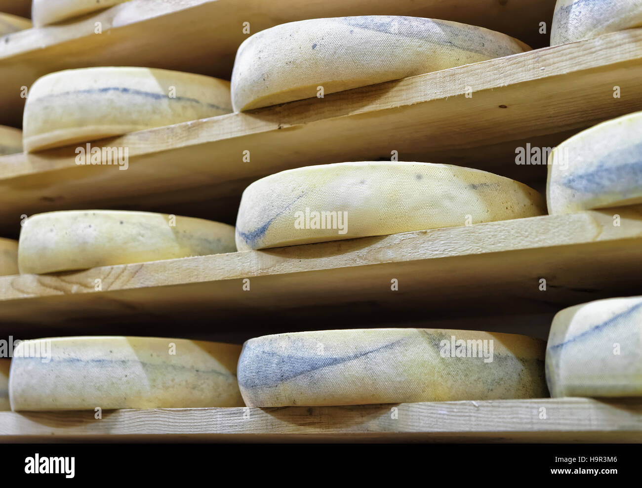 Wheels of aging Cheese on wooden shelves at maturing cellar in Franche ...