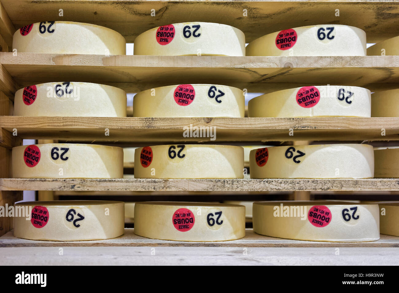 Wheels of young Comte Cheese on wooden shelves in ripening cellar of ...