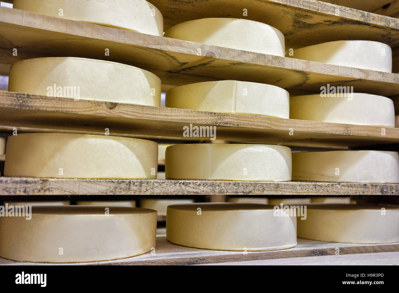 Cheese wheels comte hi-res stock photography and images - Alamy