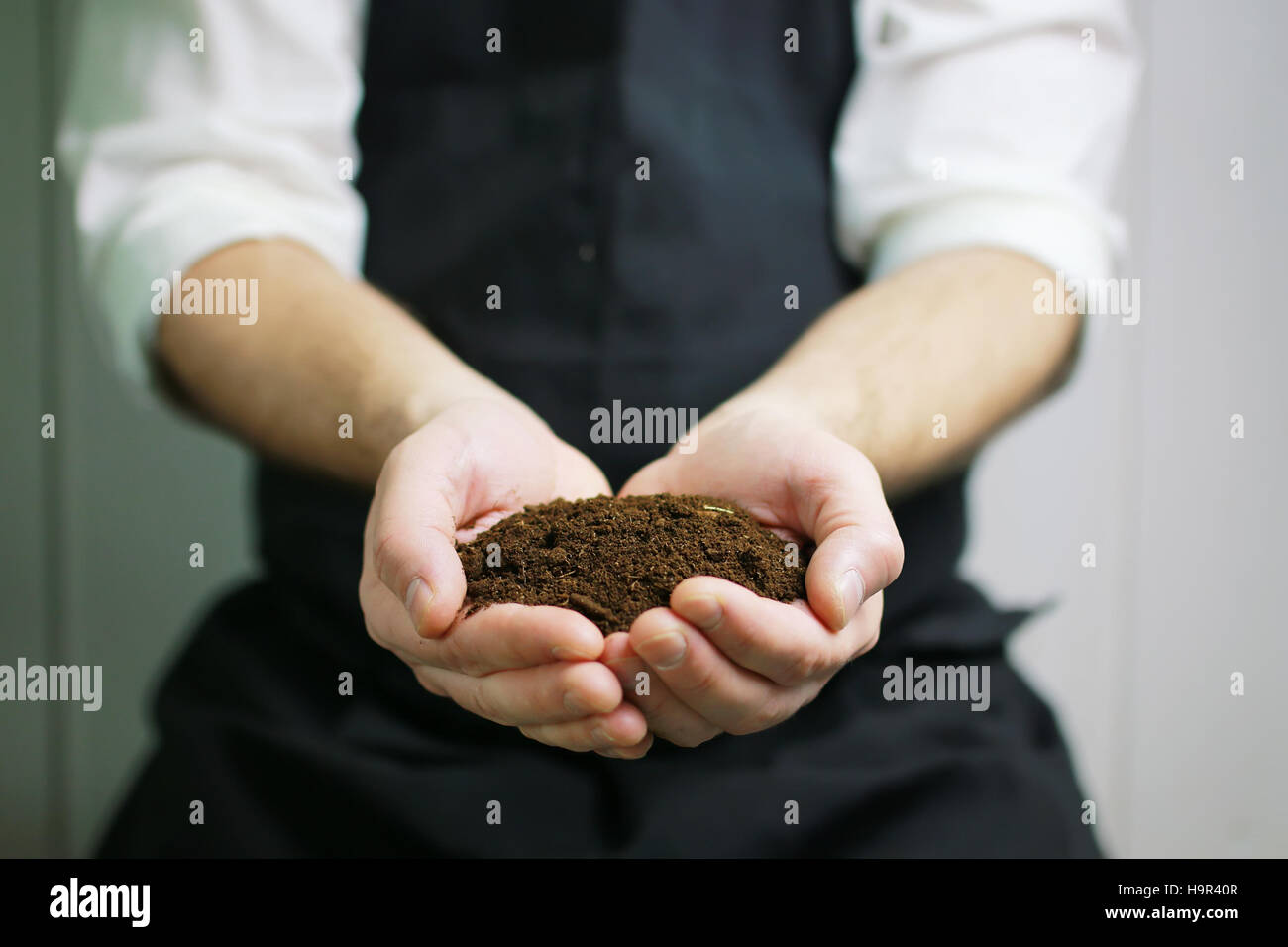 gardener hand sprout in palms Stock Photo - Alamy