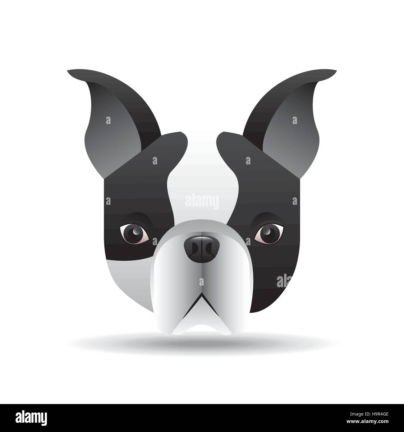 French Bulldog Face Vector
