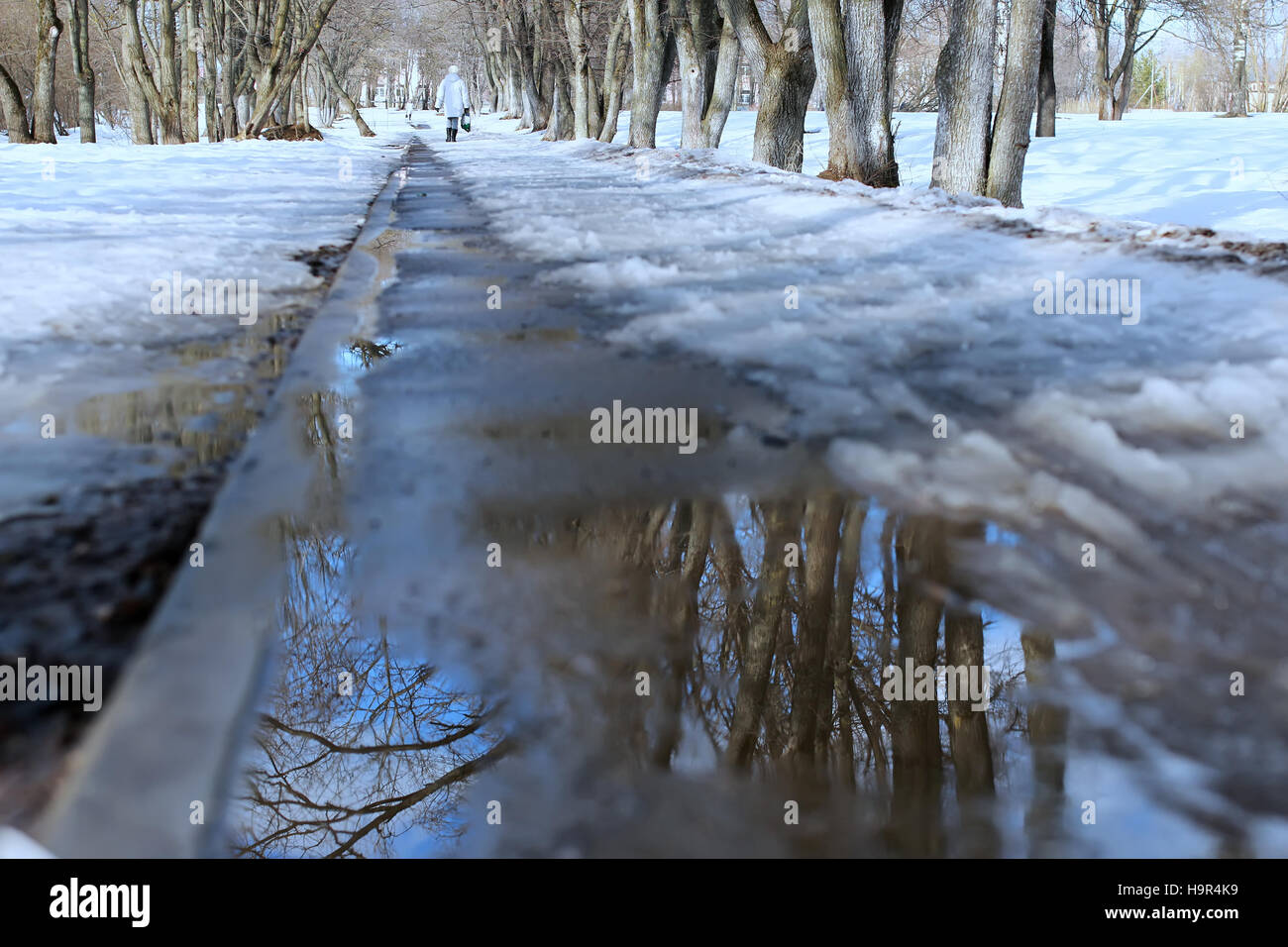 thaw spring lanscape tree Stock Photo - Alamy