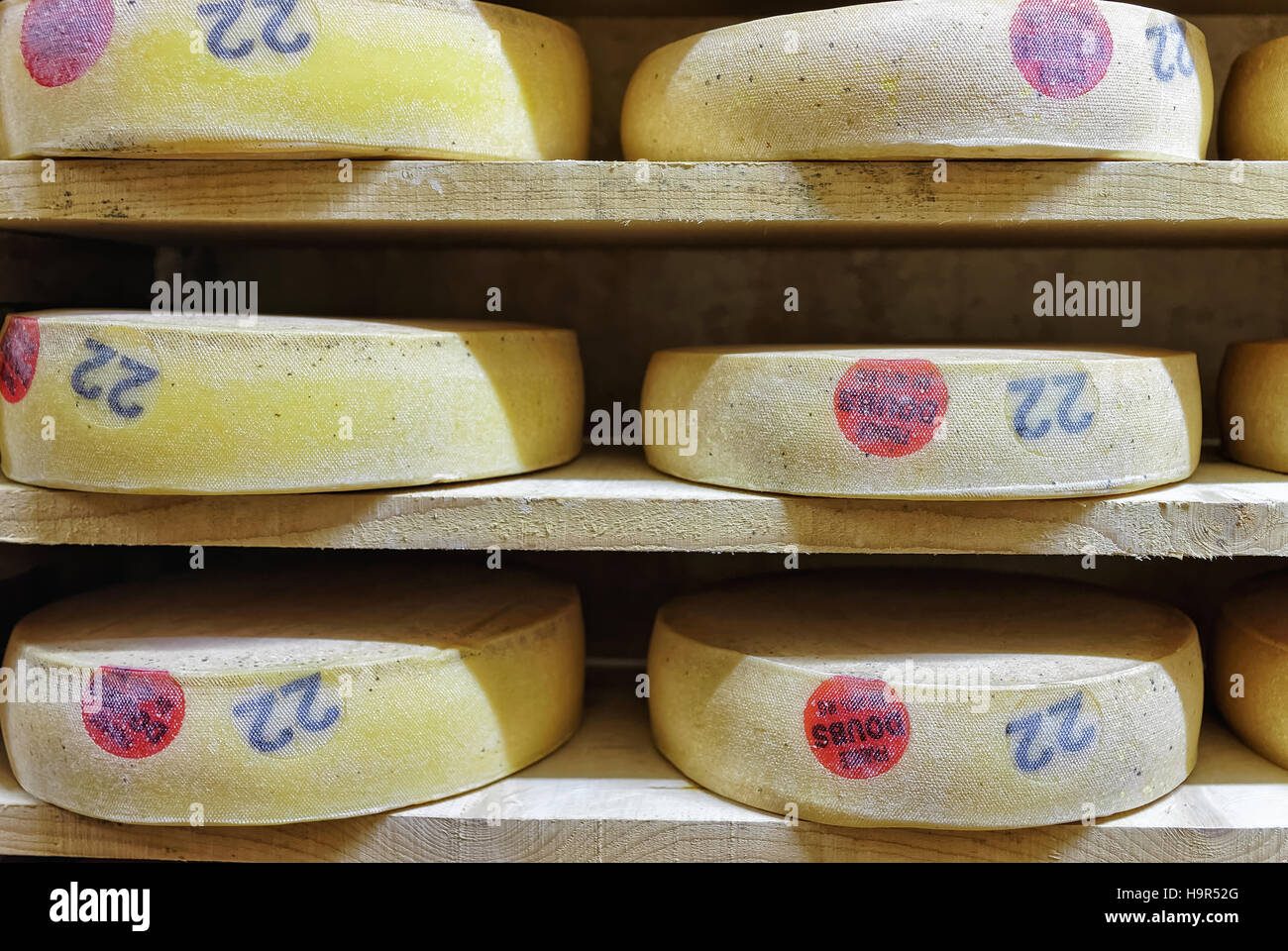 Rack of aging Gruyere de Comte Cheese on wooden shelves in ripening ...