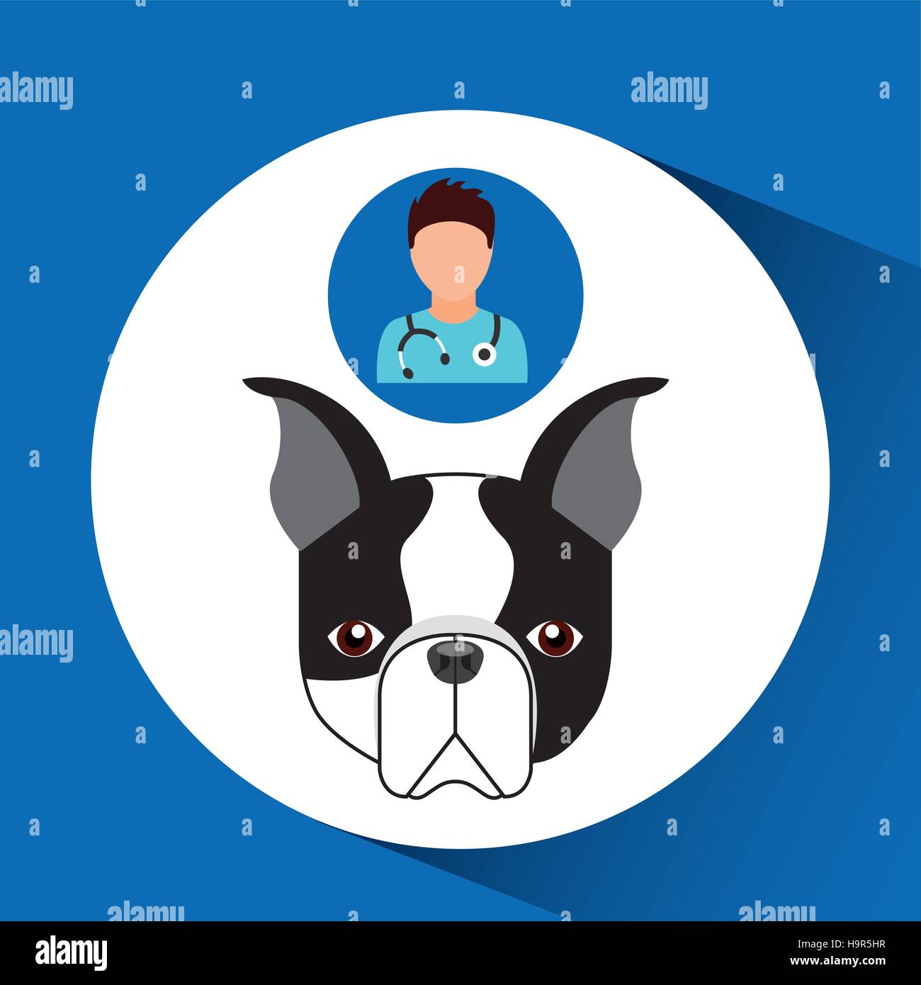 doctor cartoon veterinarian dog french bulldog vector illustration eps ...