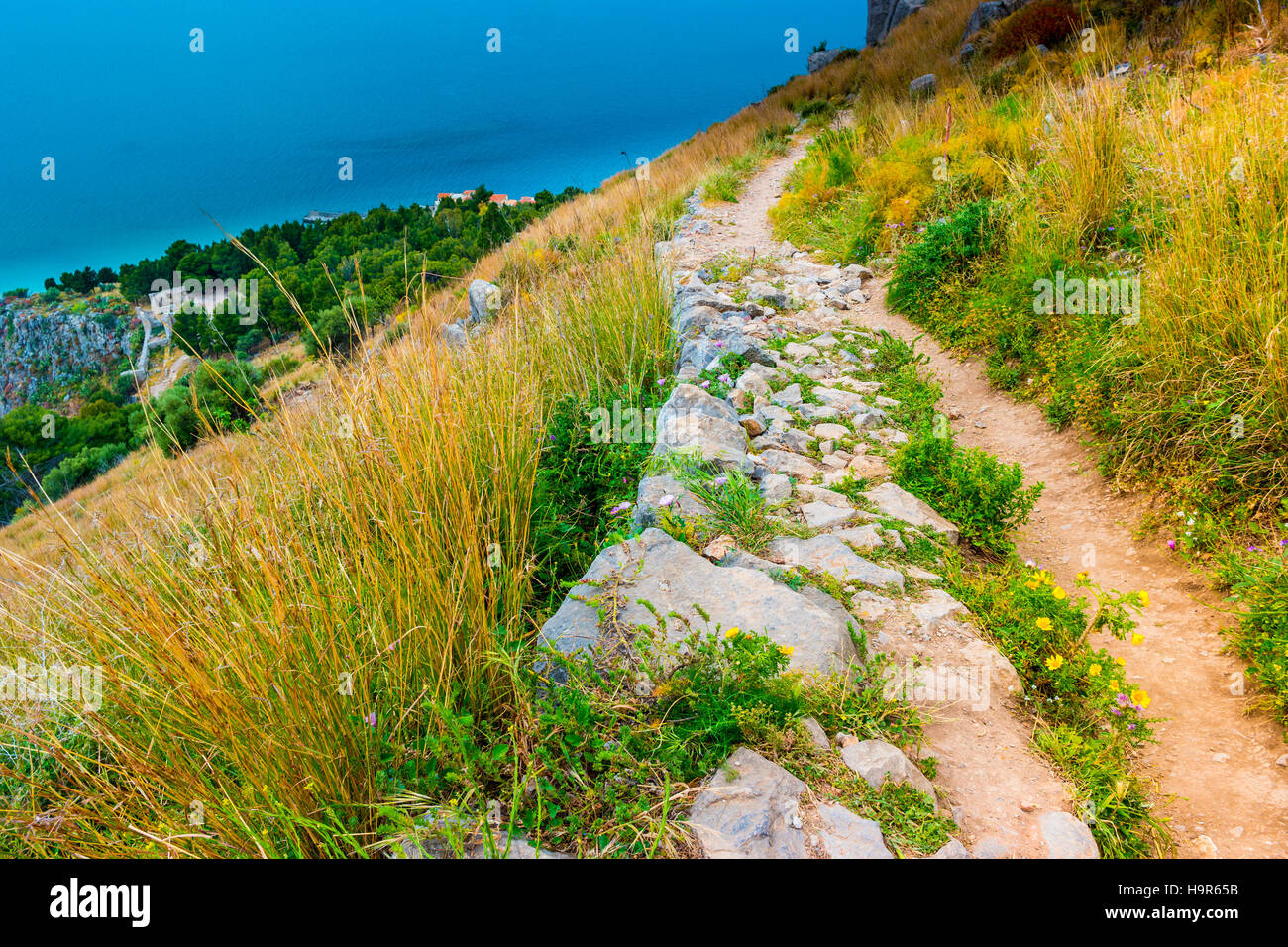 Landscape with trees and stones Stock Photo - Alamy