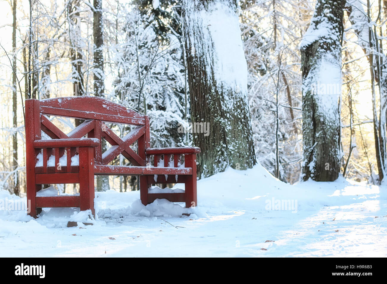wood bench in winter Stock Photo - Alamy