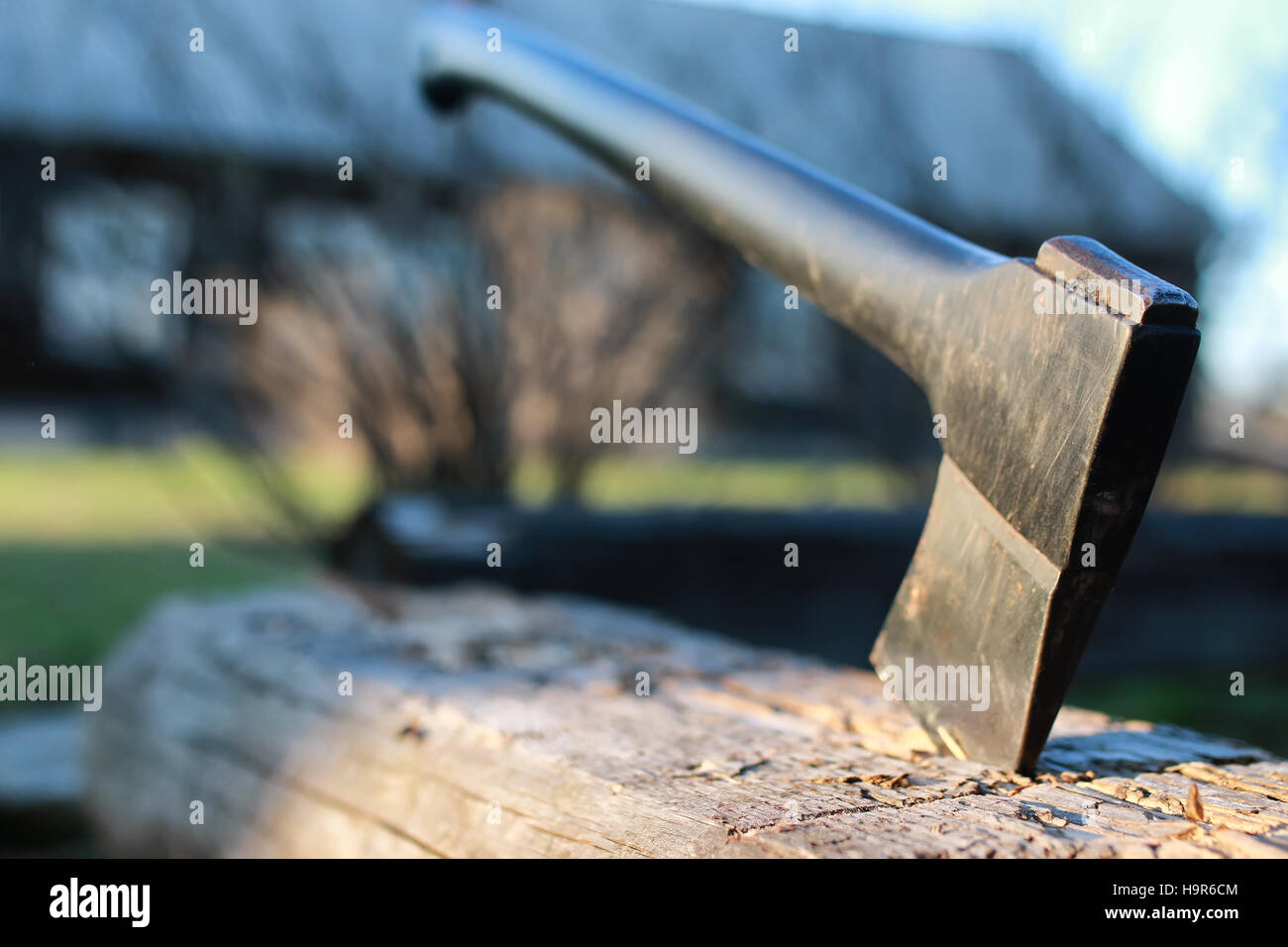 axe in wood outdoor Stock Photo - Alamy