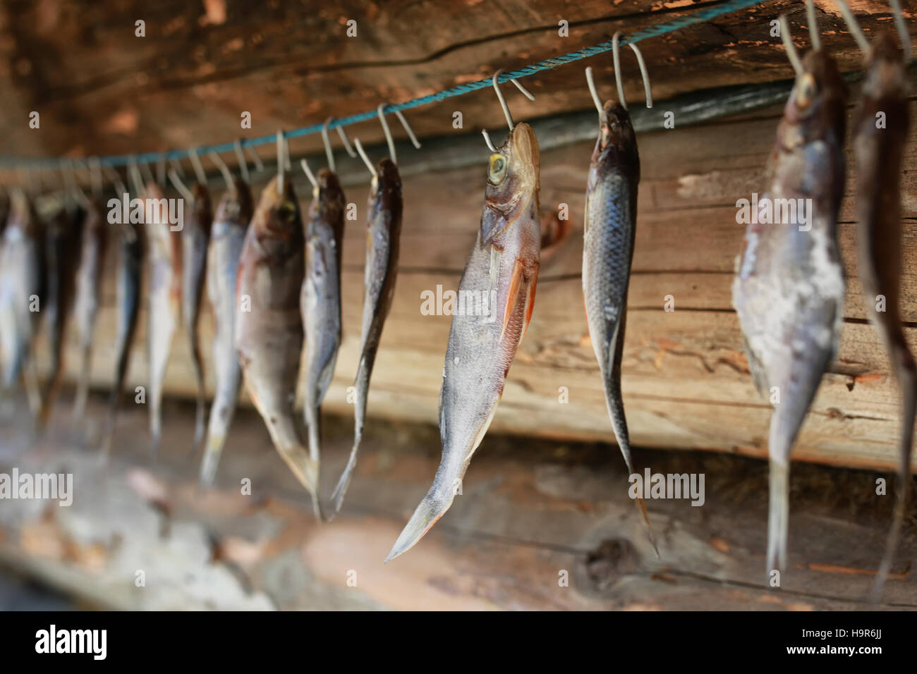 fish drying on rope Stock Photo - Alamy