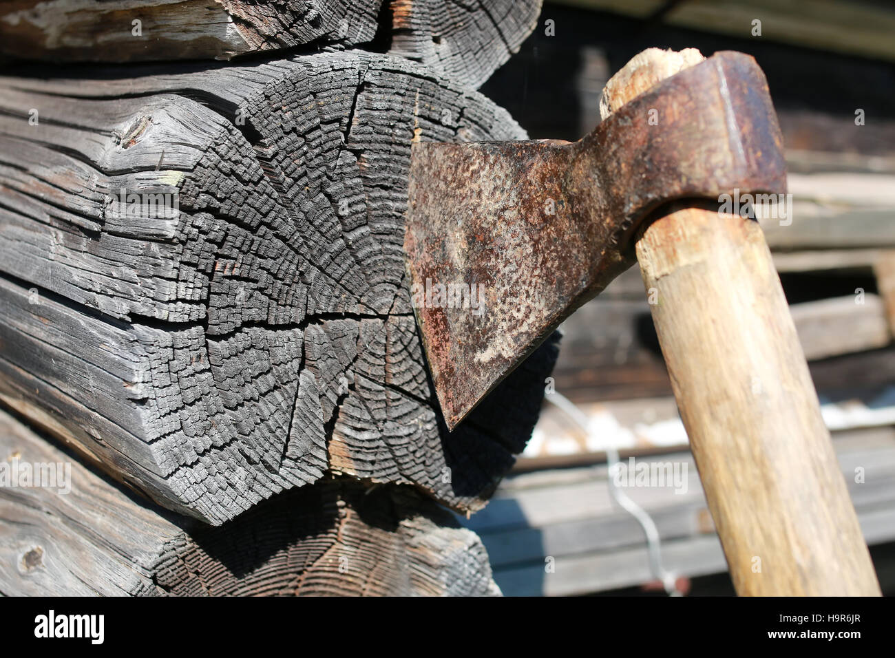 axe in wood outdoor Stock Photo - Alamy