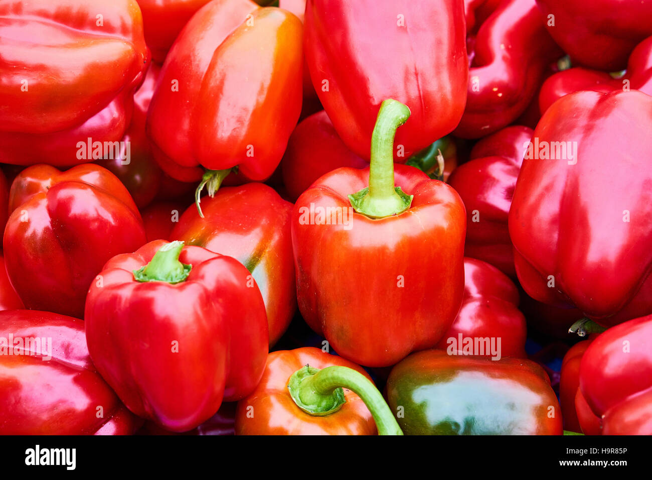 Red peppers background Stock Photo - Alamy