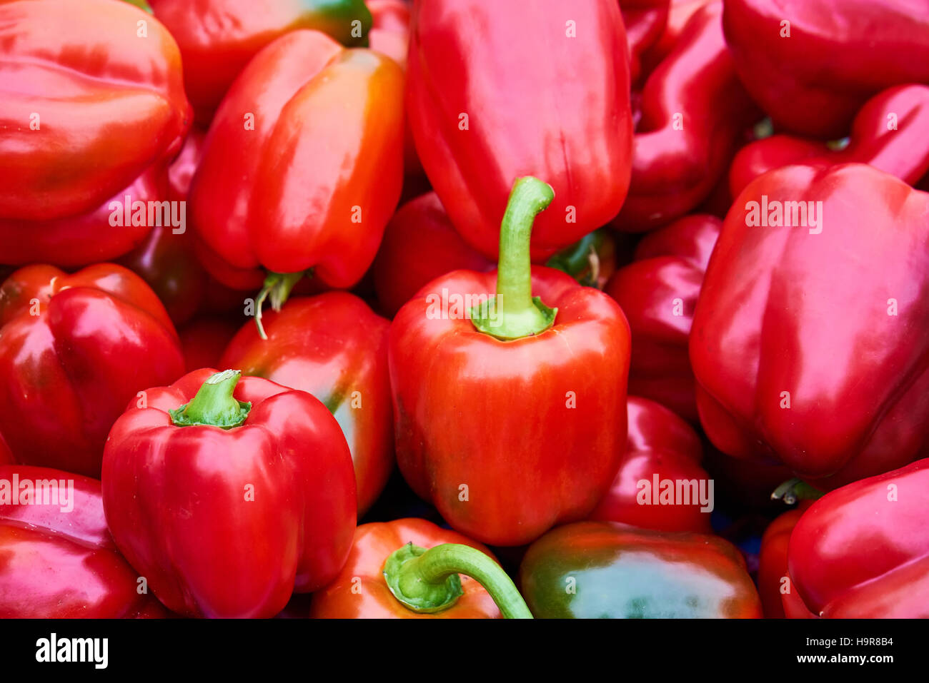 Red pepper background Stock Photo - Alamy
