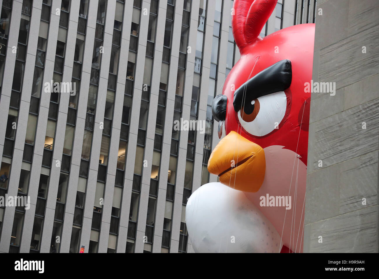 Angry Birds Rio Caged Birds Red Plush