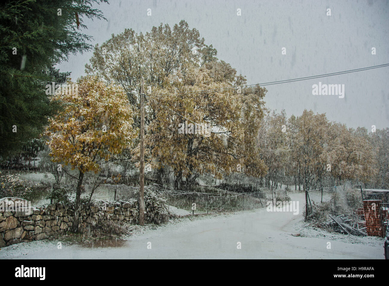 Atonina hi-res stock photography and images - Alamy