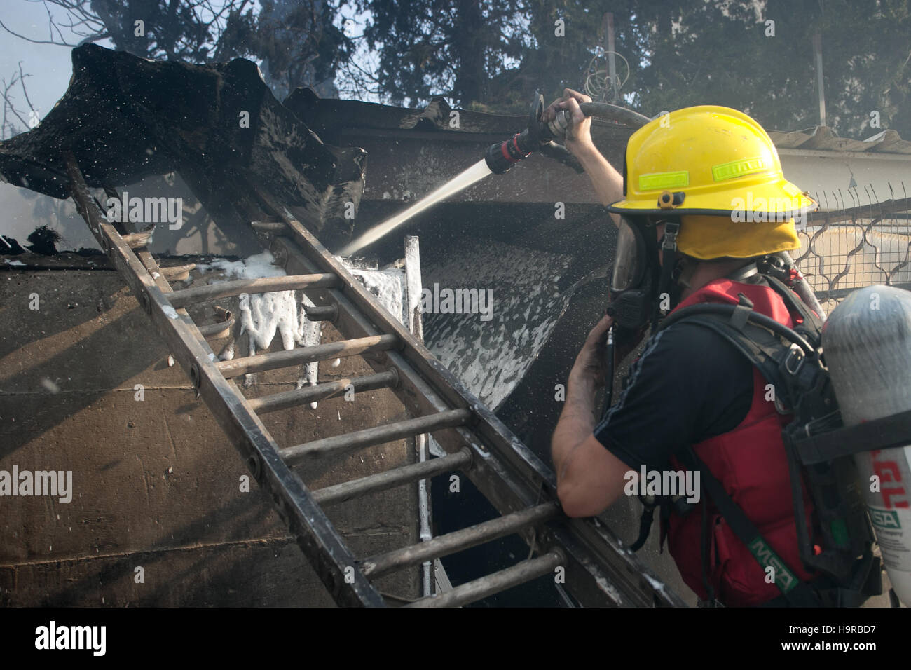 Haifa, Israel. 24th Nov, 2016. A firefighter tries to extinguish a fire ...