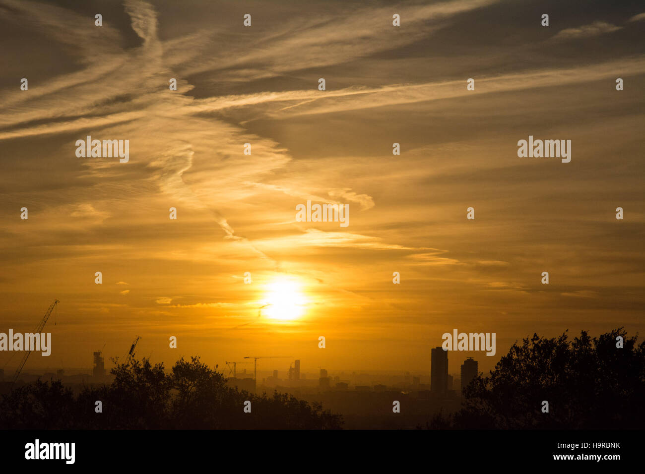 Alexandra Palace Park, London, UK 25th November 2016. UK Weather: The ...