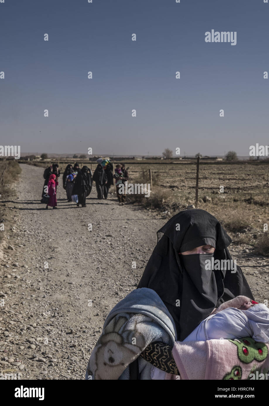 Mosul, Iraq. 24th Nov, 2016. Hammam Al-Alil, Nineveh Governorate, Iraq ...
