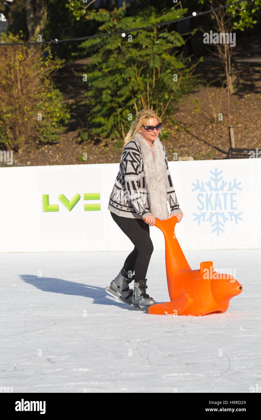 Ice skating seal hi-res stock photography and images - Alamy
