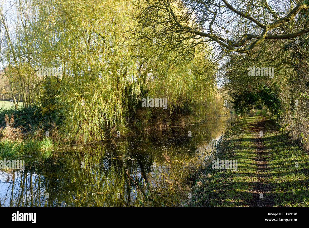 North Nottinghamshire High Resolution Stock Photography and Images - Alamy
