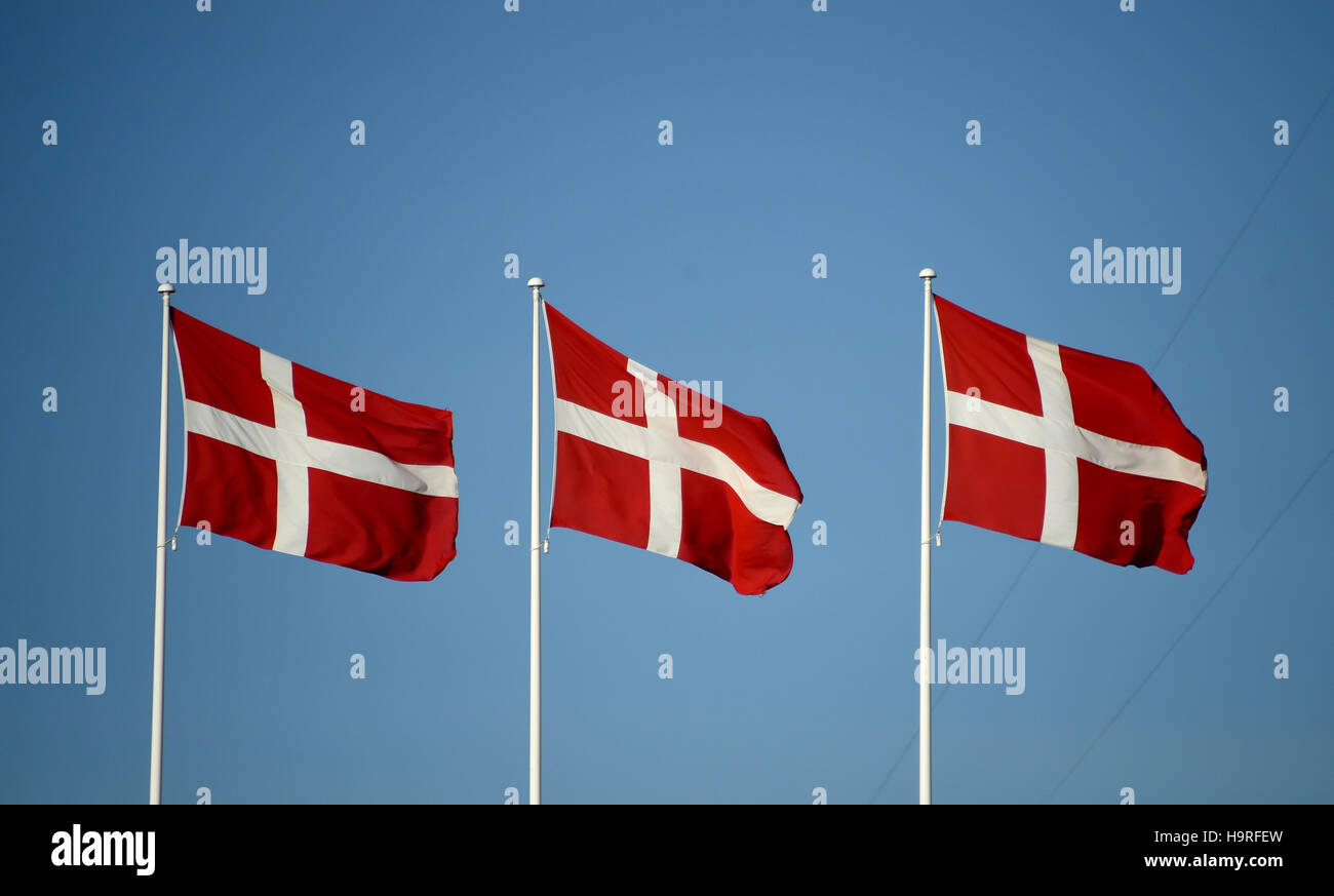 Aarhus, Denmark. 23rd Nov, 2016. Danish national flags flying near ...