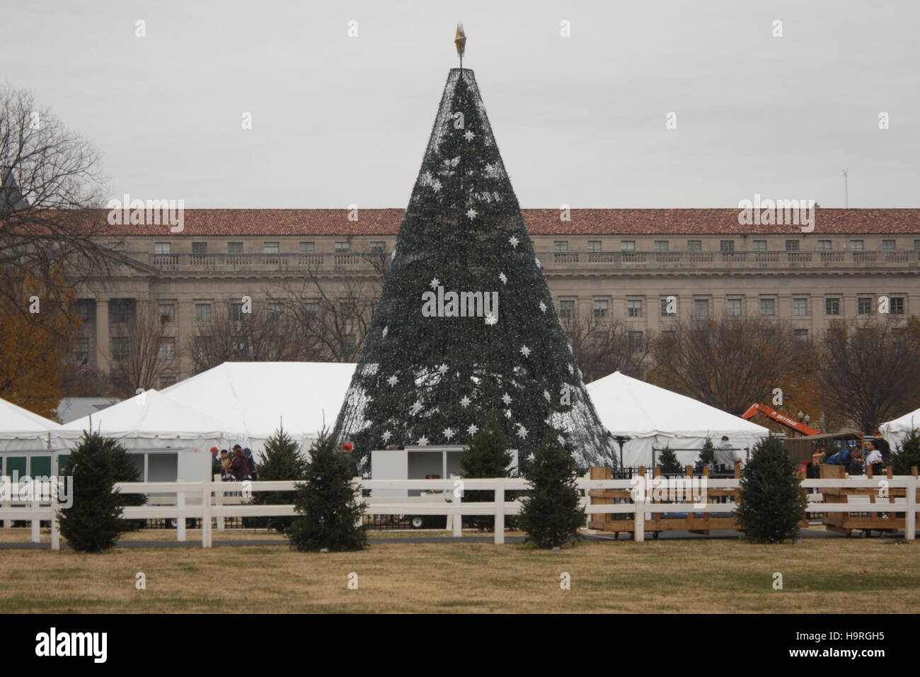 Washington, DC, USA. 25th Nov, 2016. The National Christmas Tree on the ...