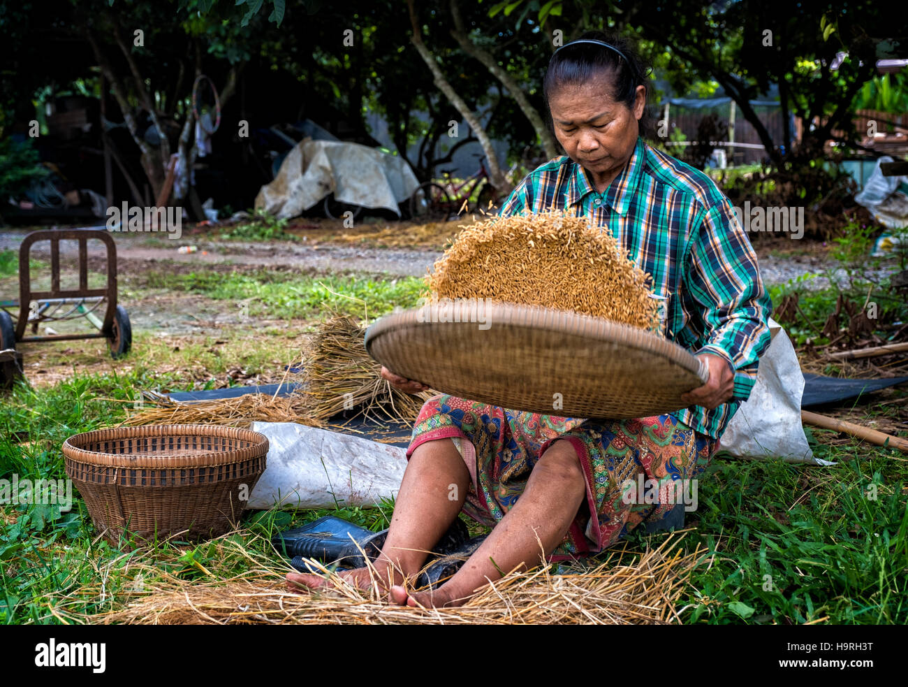 Woman sifting rice hi-res stock photography and images - Alamy