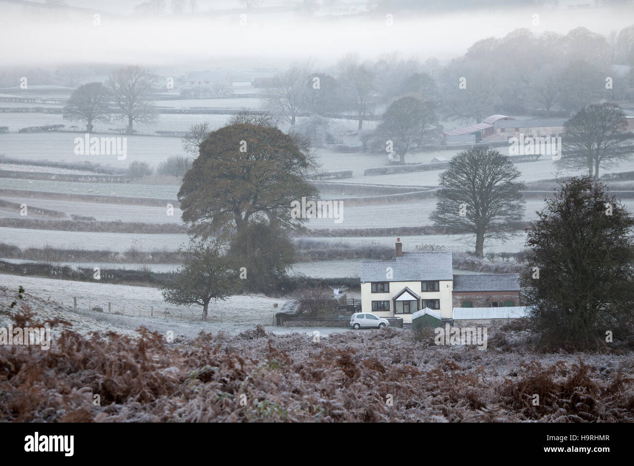 A farm house in the village of Rhes-y-Cae surrounded by morning frost ...