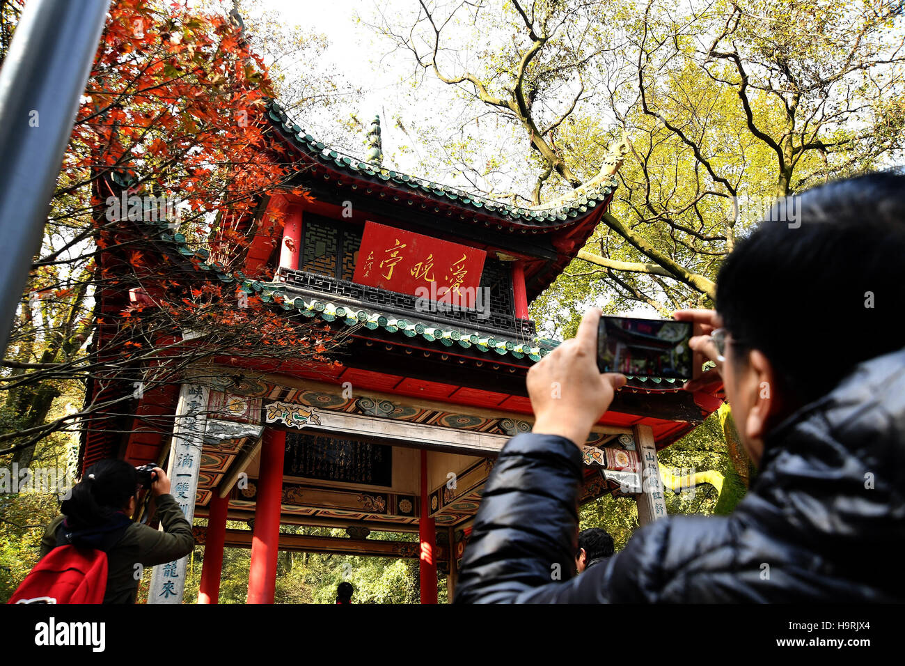 (161126) --CHANGSHA, Nov. 26, 2016 (Xinhua) -- Visitors take photos of ...
