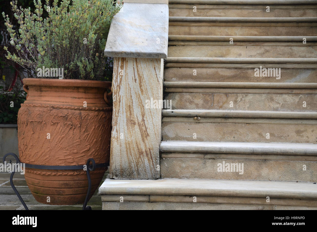 Stone stairs and a Greek style large pot with garden plant Stock Photo ...
