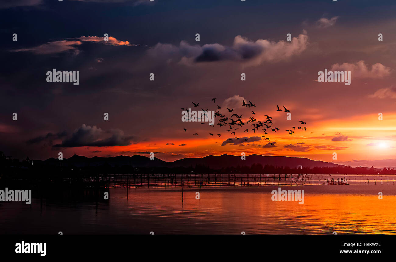 silhouette sunset filter effect sunset Stock Photo - Alamy