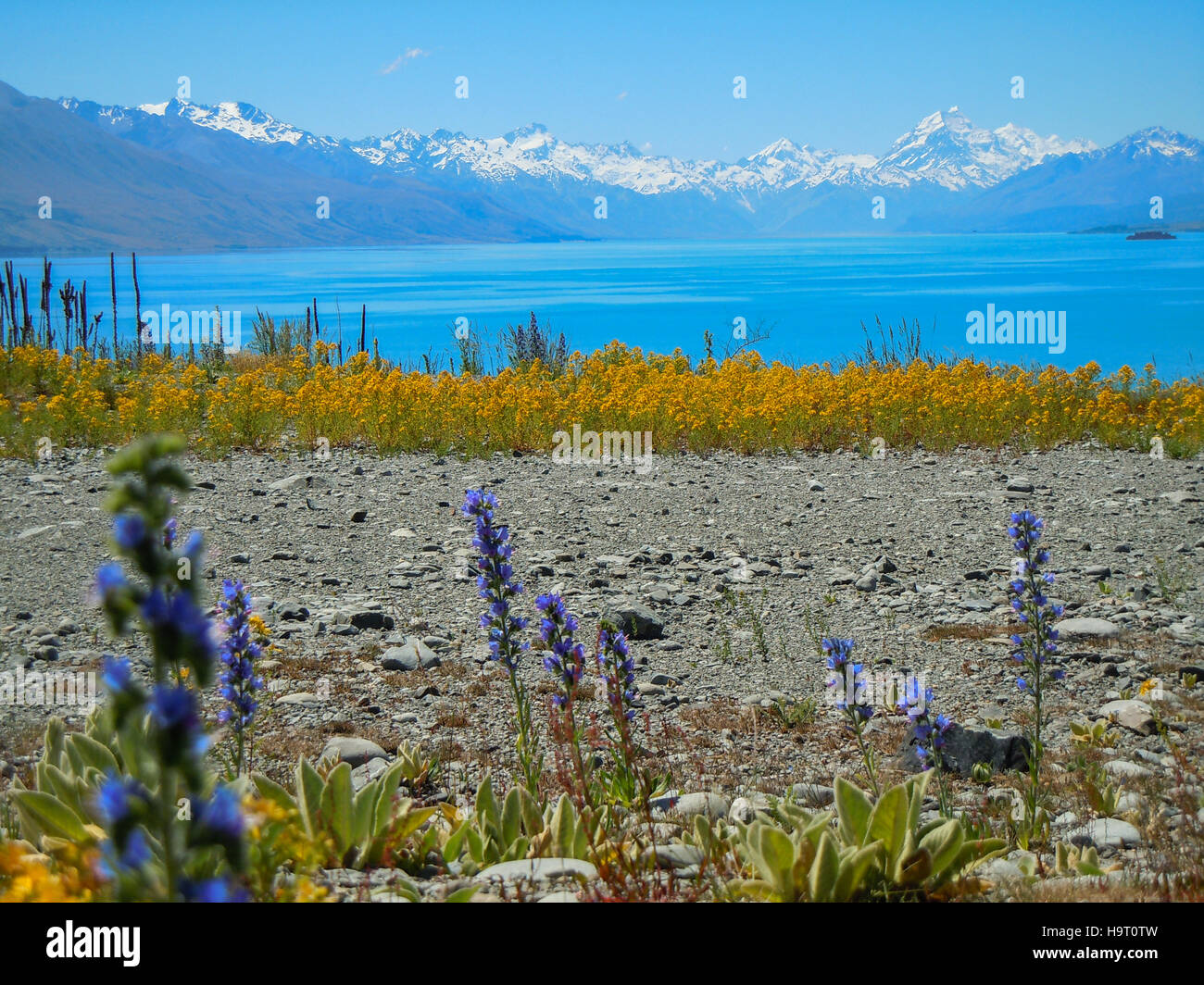 Lake Tekapo and Mt. Cook National Park, South Island - New Zealand ...