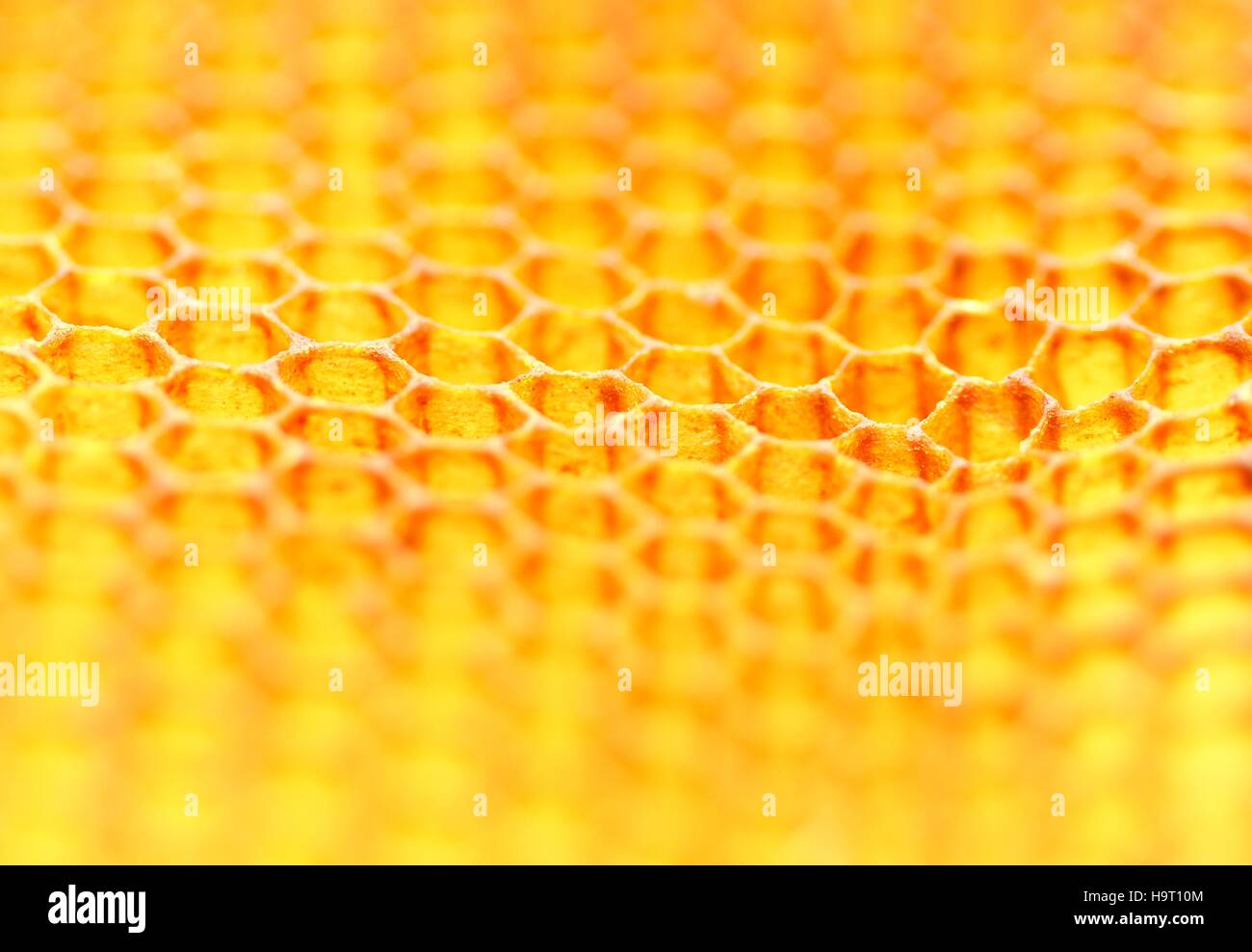 Honeycomb cells hi-res stock photography and images - Alamy