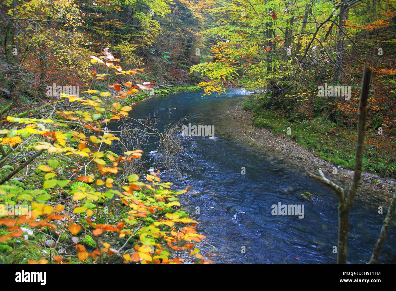 Beautiful fall landscape with forest and river Stock Photo - Alamy