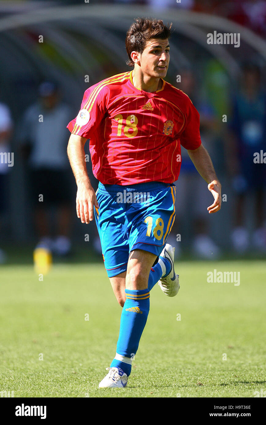 CESC FABREGAS SPAIN & ARSENAL FC FRITZ-WALTER STADIUM KAISERSLAUTEN ...