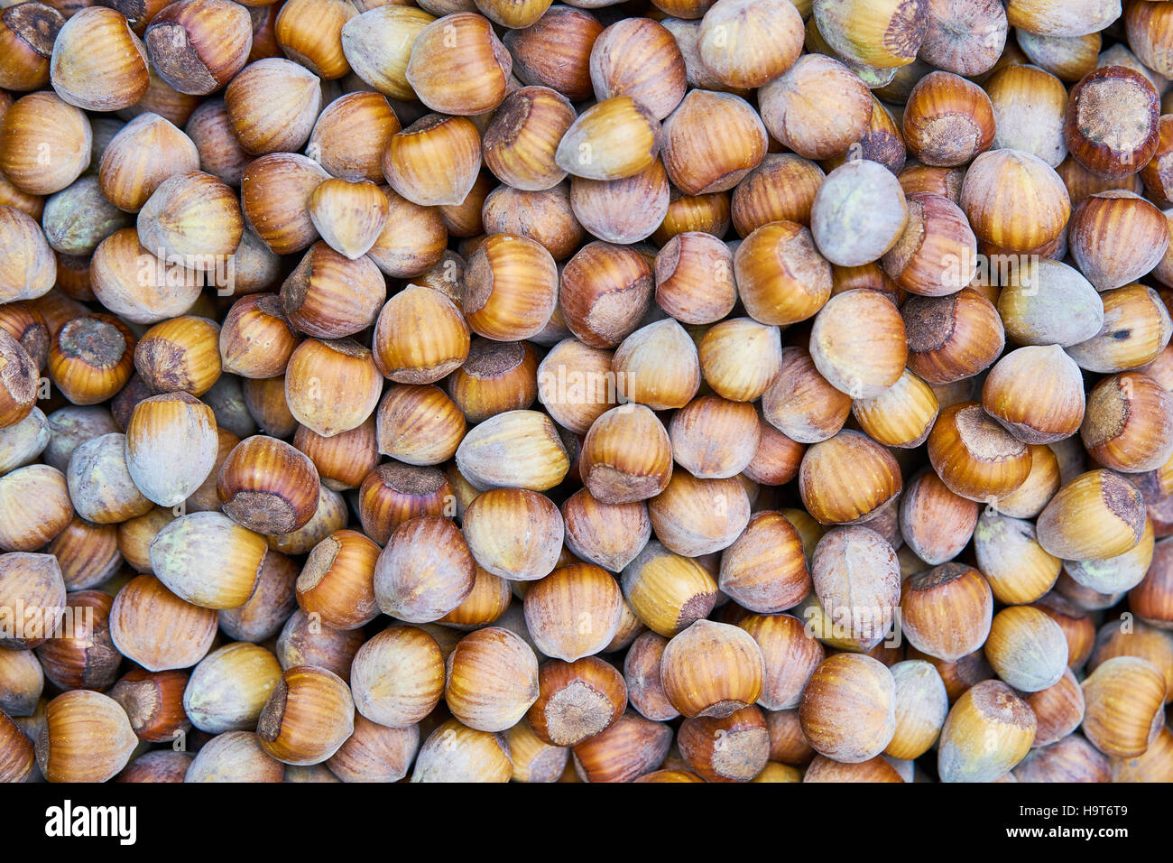 Forest hazelnut background Stock Photo - Alamy