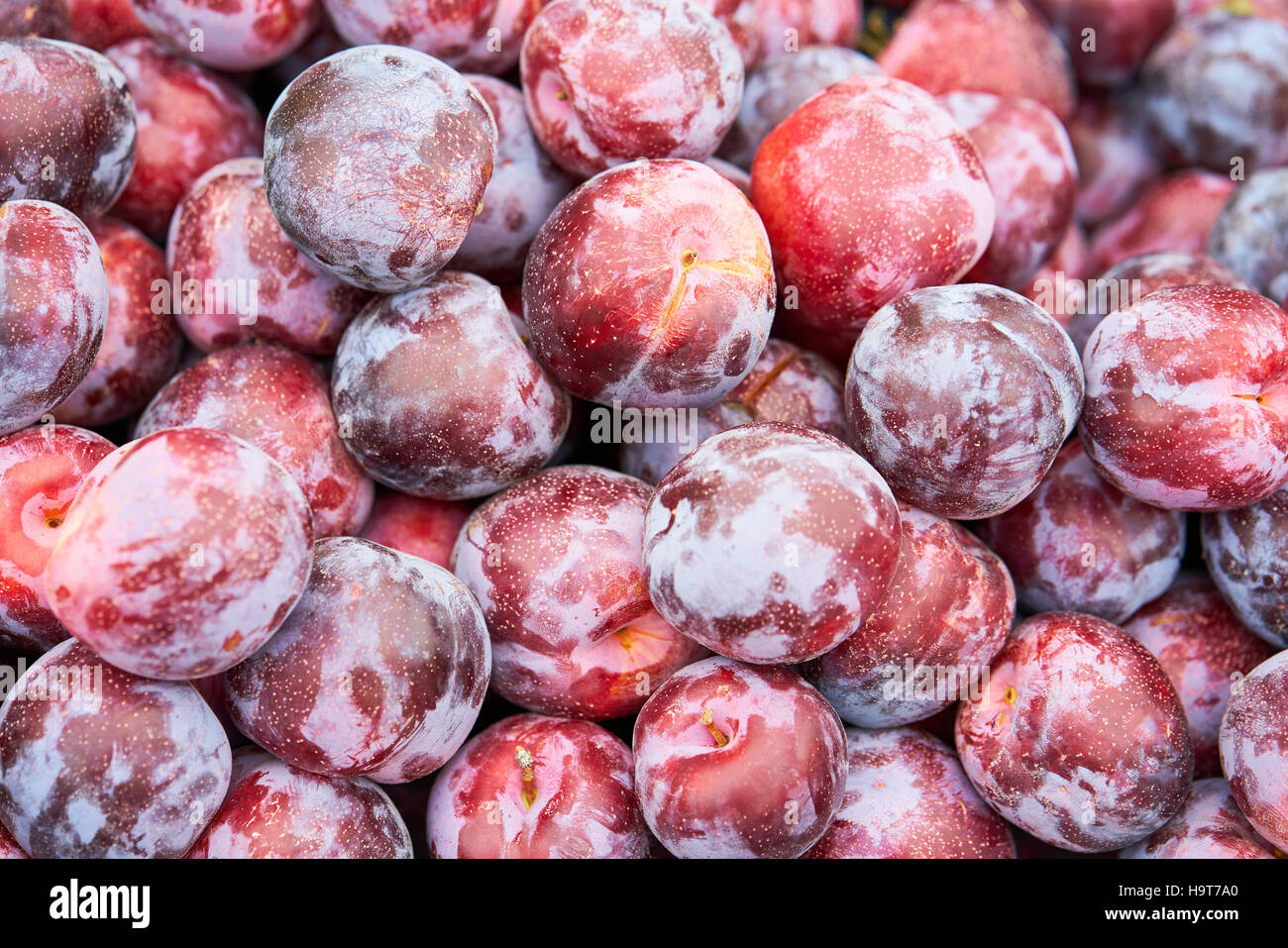 Ripe plums background Stock Photo - Alamy