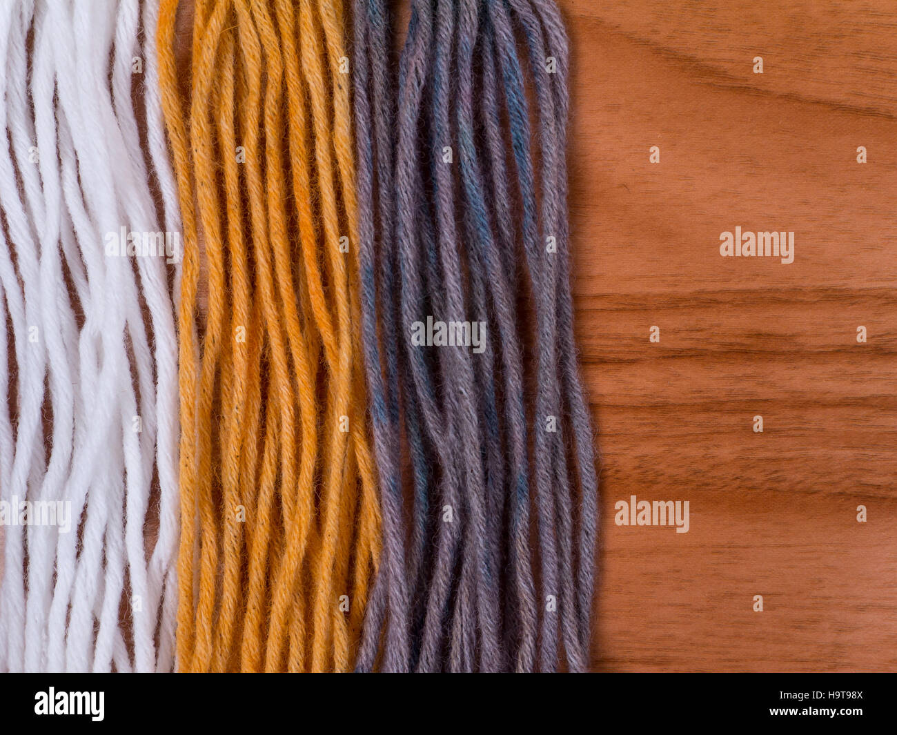 Wool yarn swatches colored by henna and indigo and control white sample ...