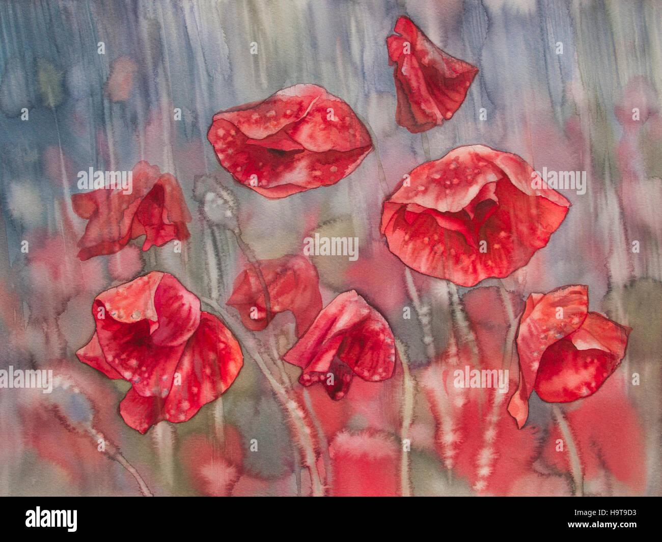 watercolor flowers poppies field in the rain Stock Photo - Alamy