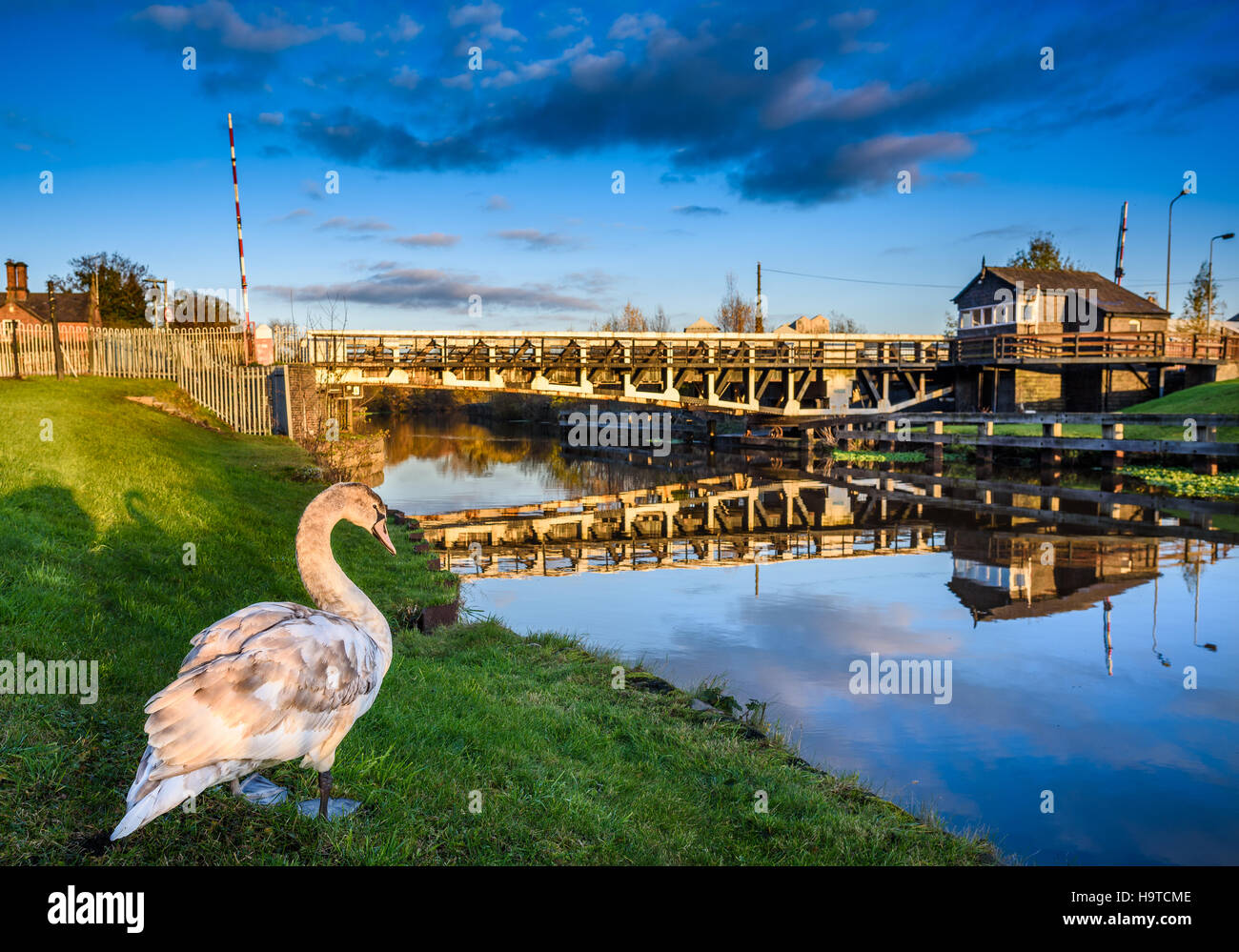 Winnington cheshire hi-res stock photography and images - Alamy