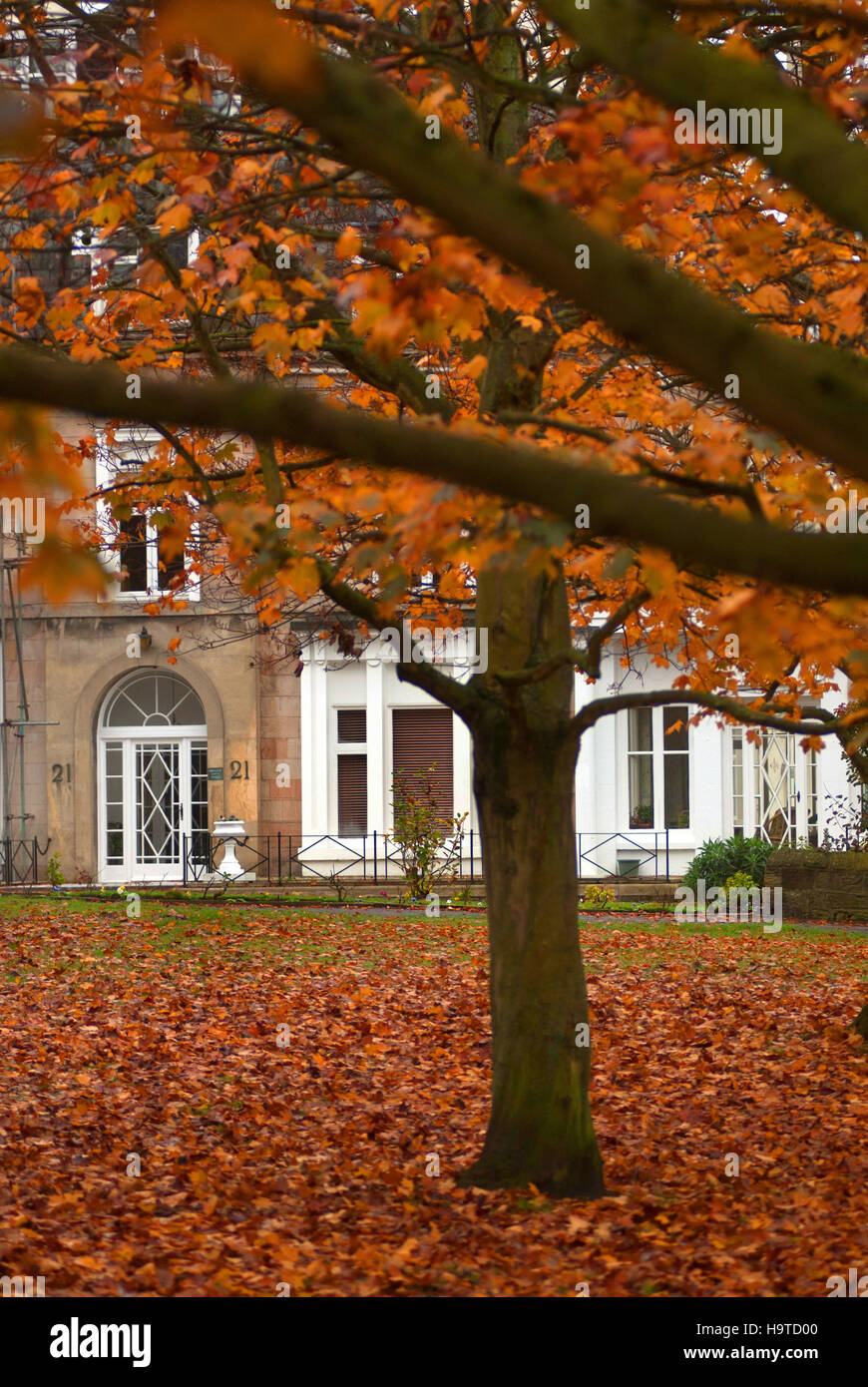Autumn scene, Harrogate Stock Photo - Alamy