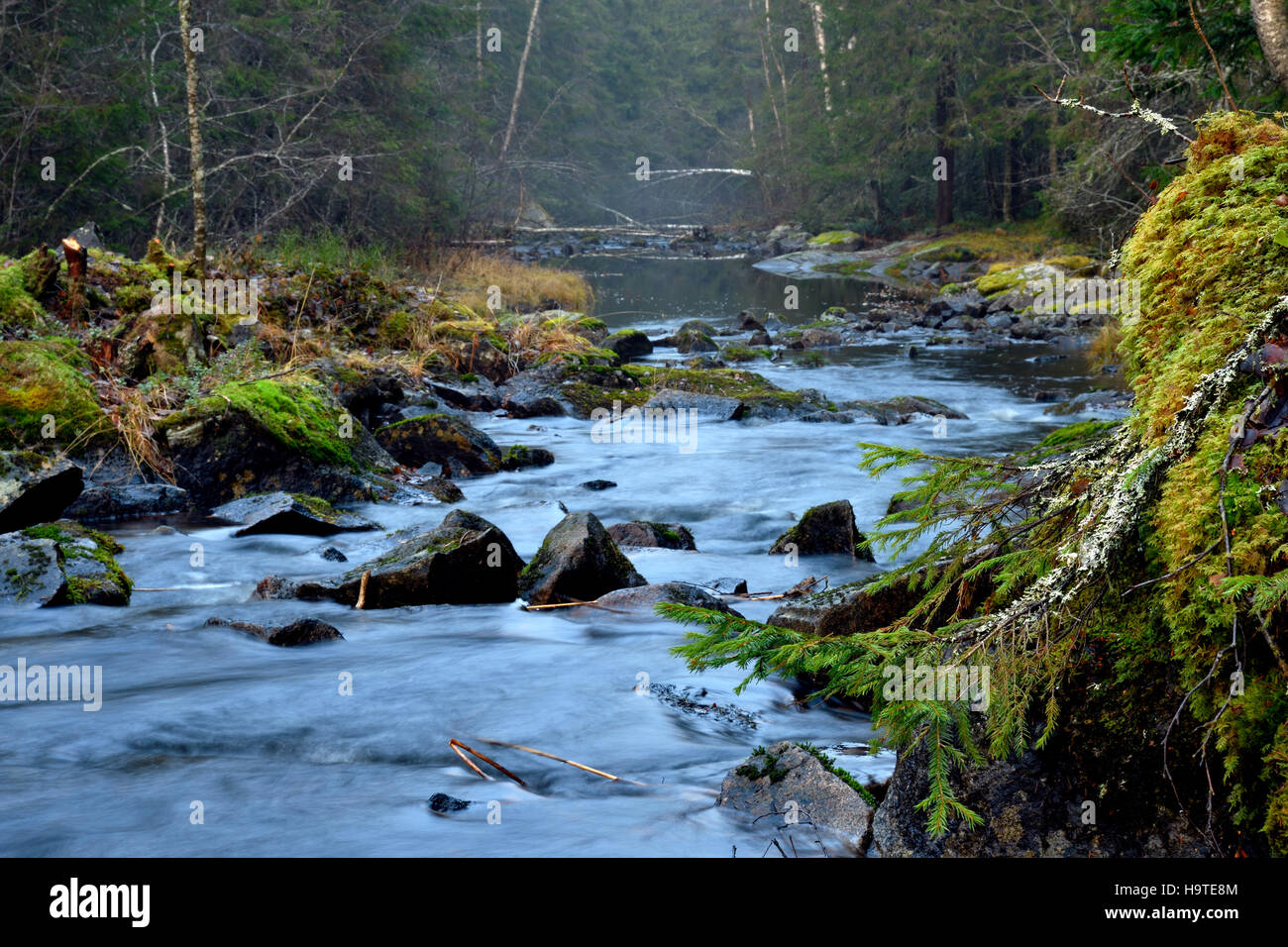 Sides Intact High Resolution Stock Photography and Images - Alamy
