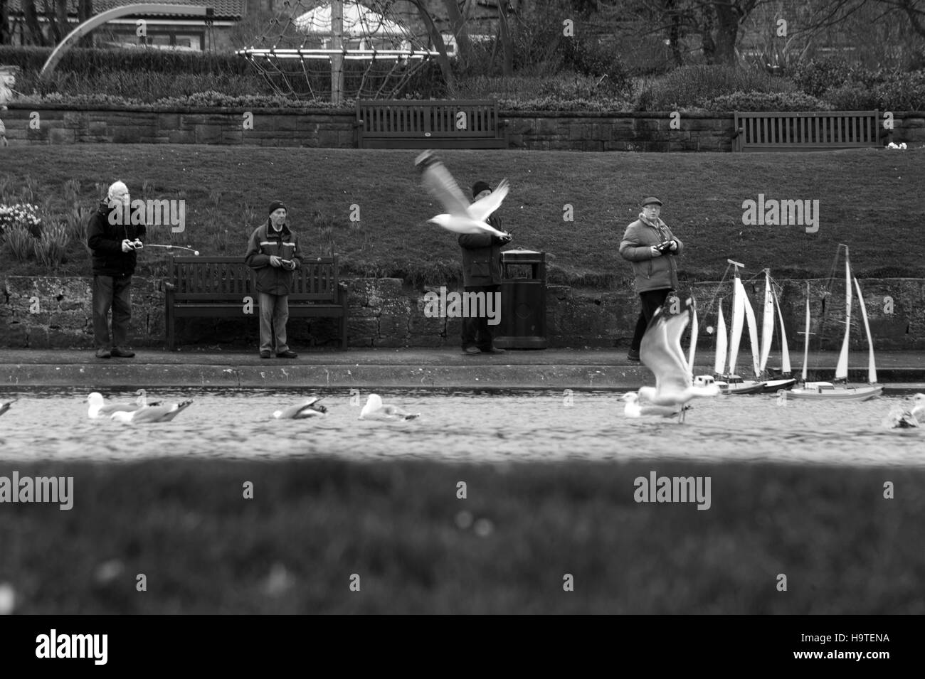 Remote controlled boats on a Tynemouth boating lake Stock Photo - Alamy