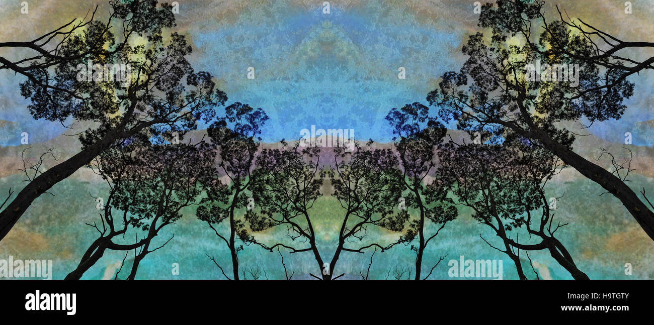 Symmetrical grove of tall trees against colorful aurora like evening ...