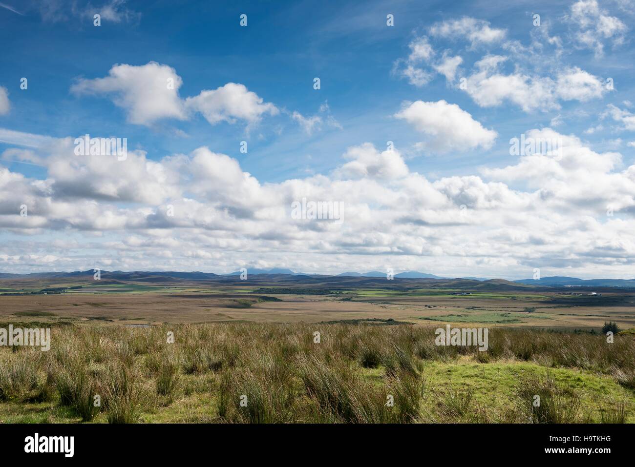 Islay inner hebrides hi-res stock photography and images - Alamy