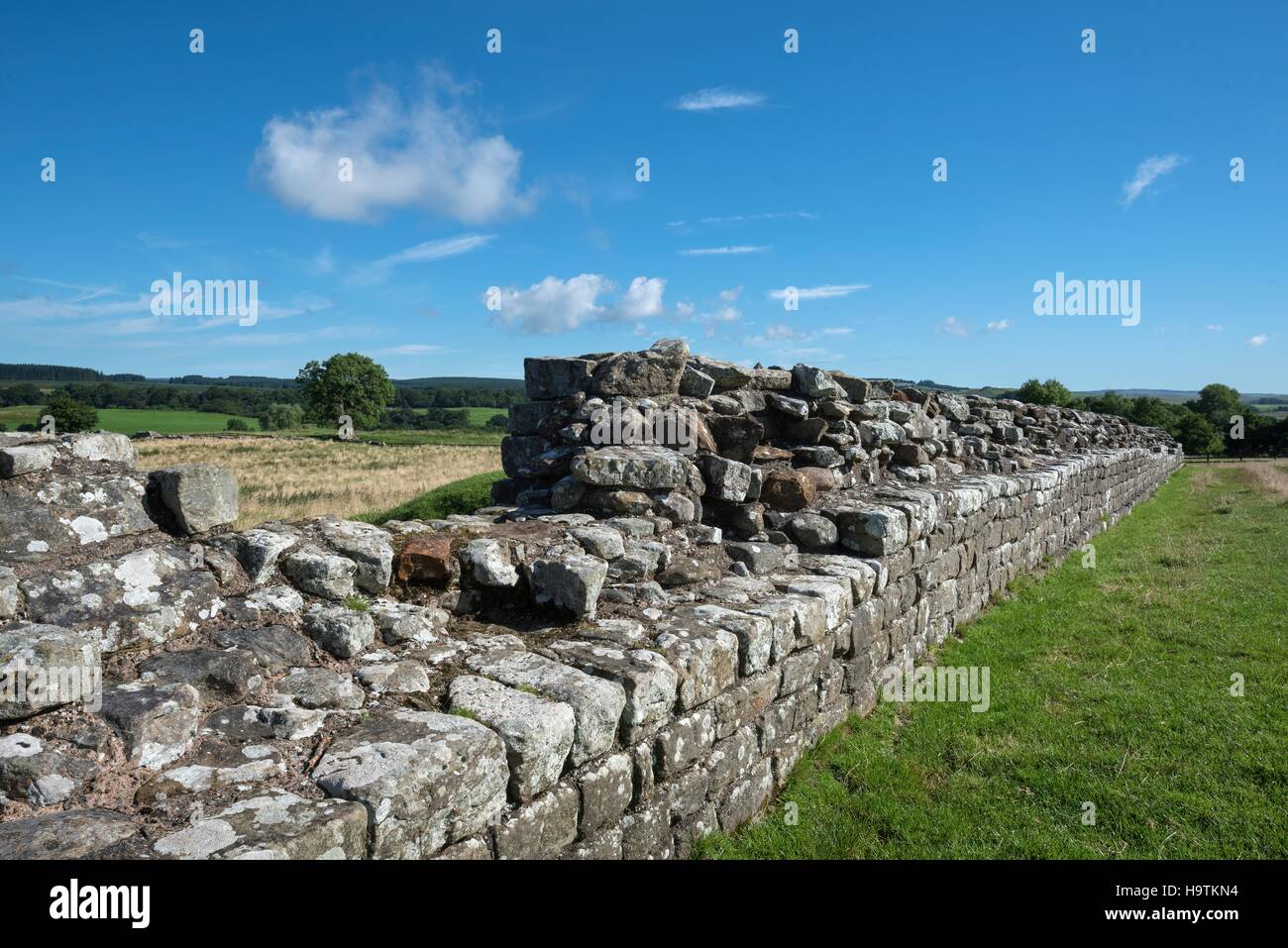 Hadrian's Wall at Haltwhistle, Northumberland, England, United Kingdom ...