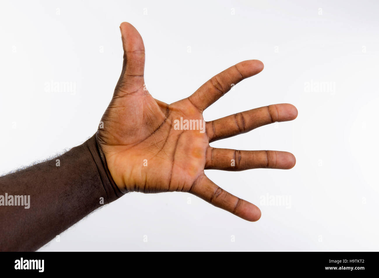 Non human body parts hi-res stock photography and images - Alamy