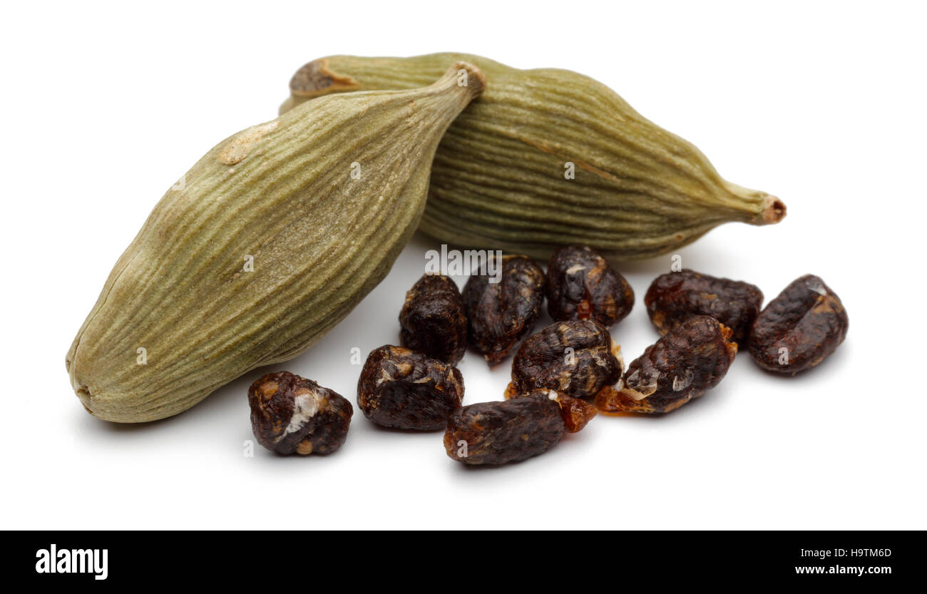 Open pods with seeds hi-res stock photography and images - Alamy