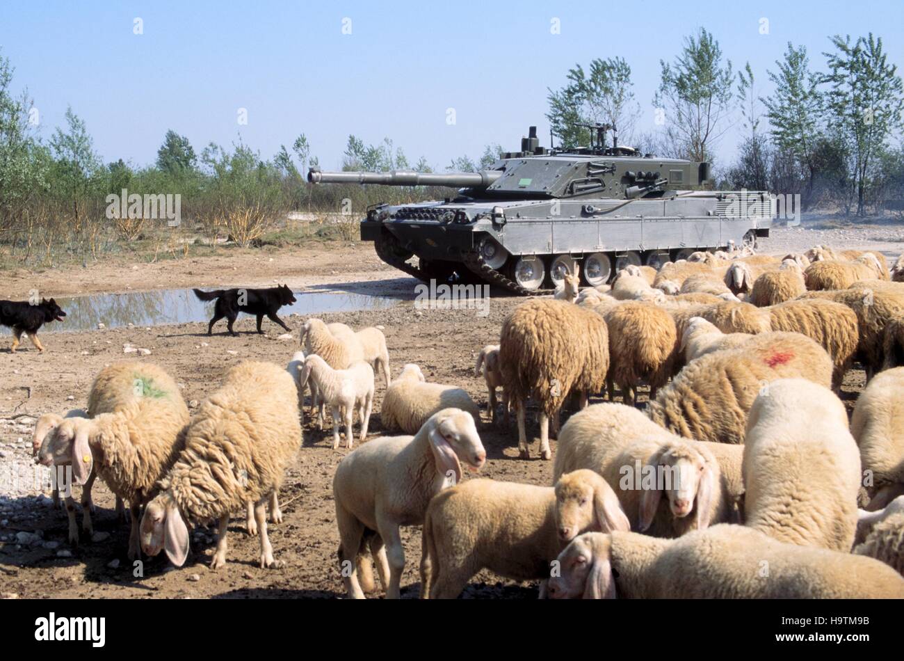 Italian army, heavy combat tank Ariete Stock Photo - Alamy