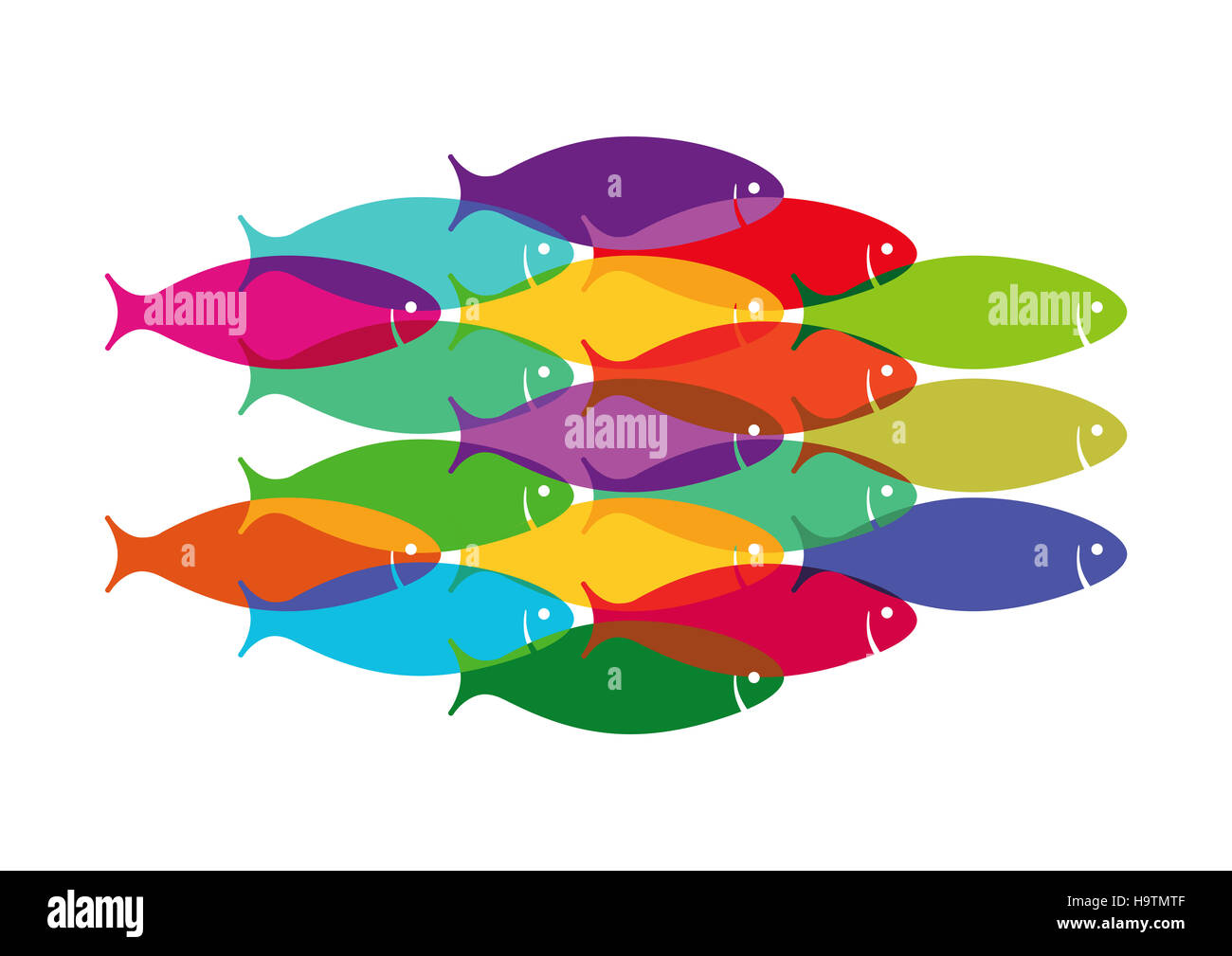 Colourful Fish Shoal Stock Photo - Alamy