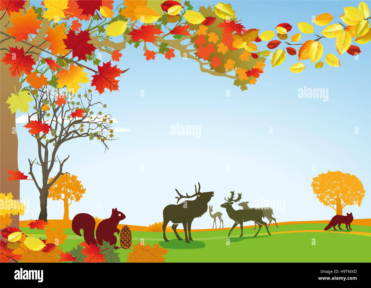Autumn with wild animals Stock Photo - Alamy