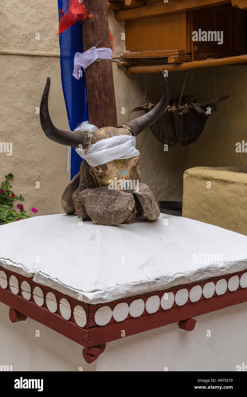 Rams Head at the Stok Museum Stock Photo - Alamy